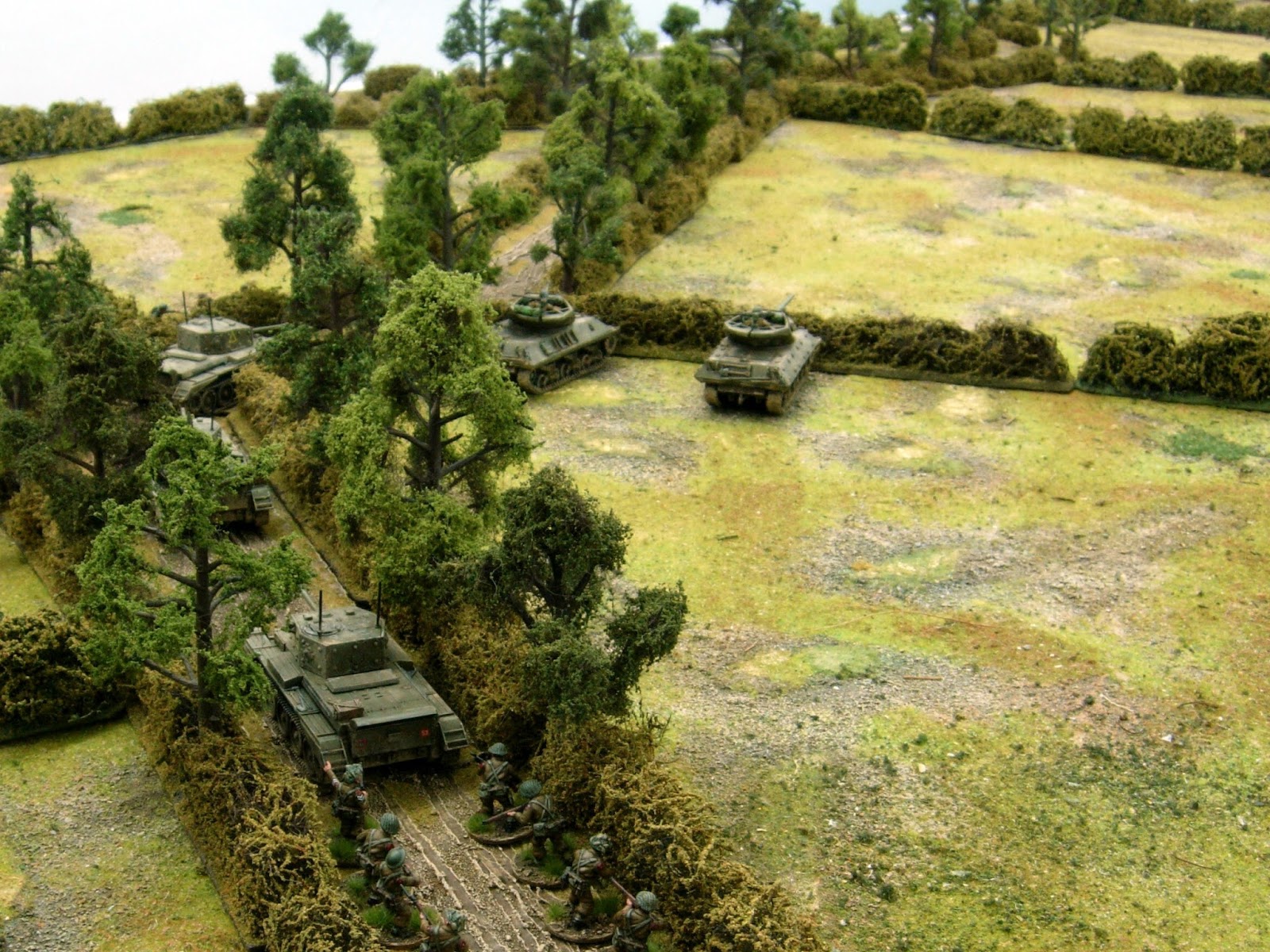 Wargaming with Silver Whistle: SETTING THE SCENE (part 3) Hedgerows ...