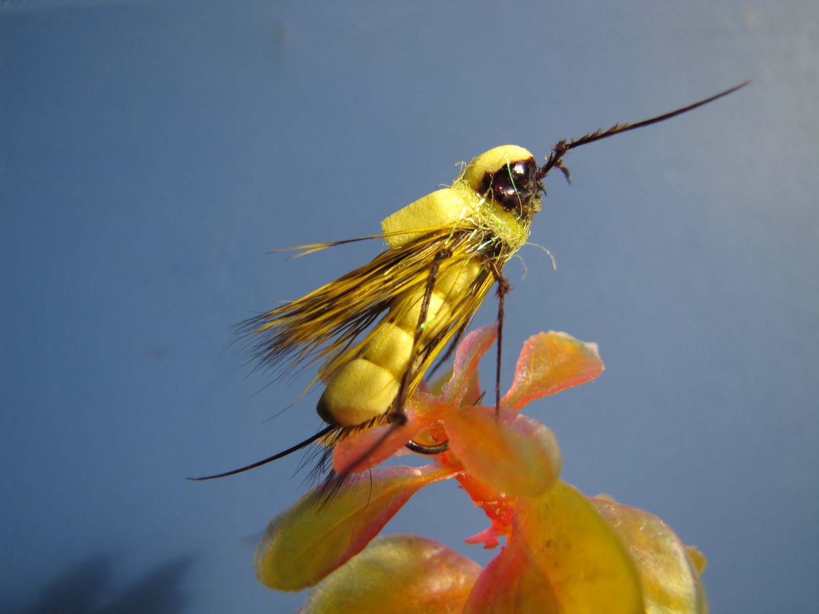 A Creative Fly Tying Blog.: The Corn-Fed E.T Hopper.