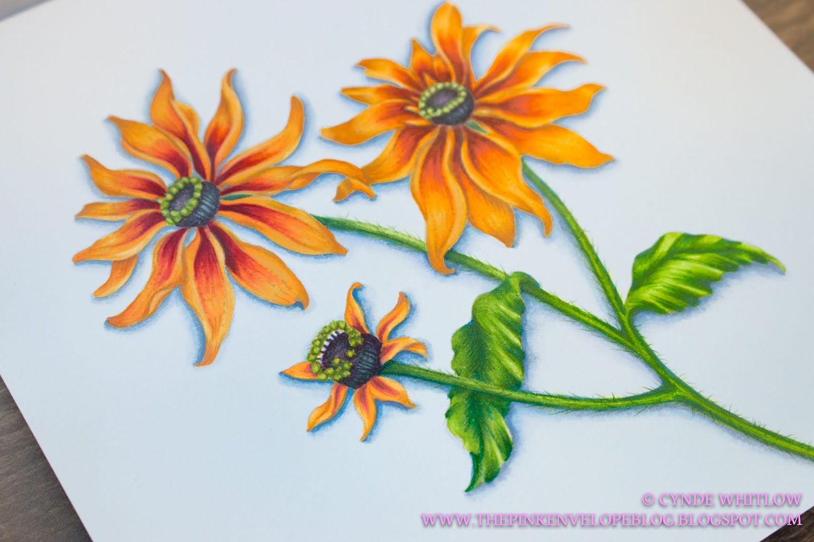 Easy Two Color Copic Blending | The Pink Envelope