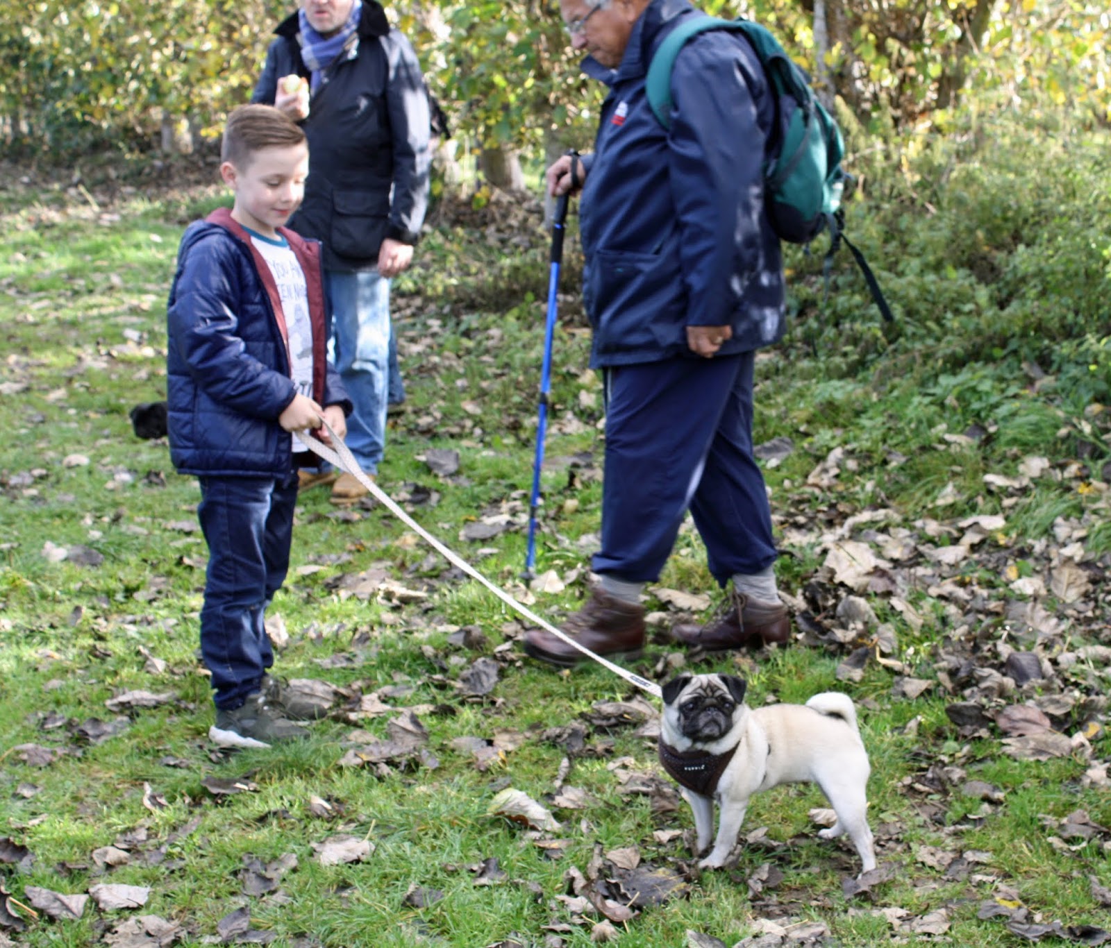 It's a Dog's World: Are Pugs a Good Choice For Families With Small ...