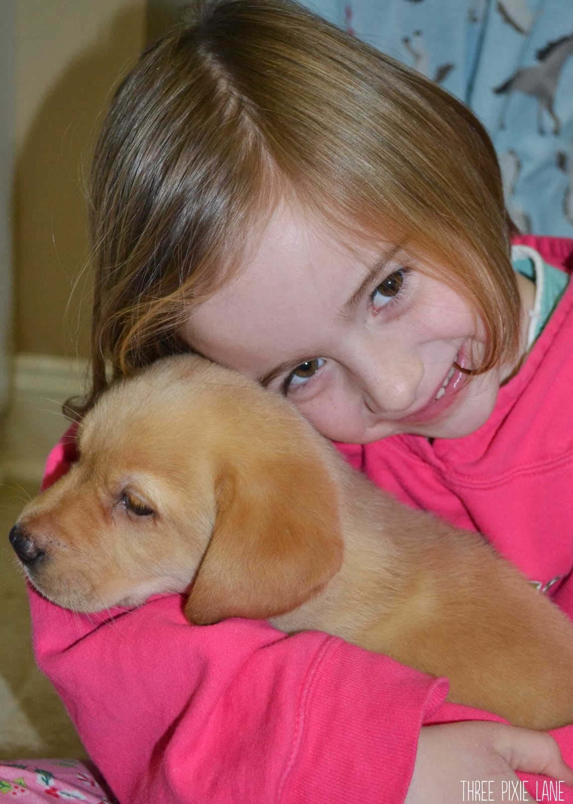 Three Pixie Lane: Favorite Photo Friday- a Dog's Perspective