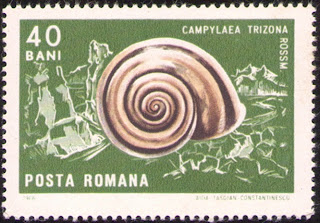 Timbre filatelice: Timbre cu moluste si crustacee