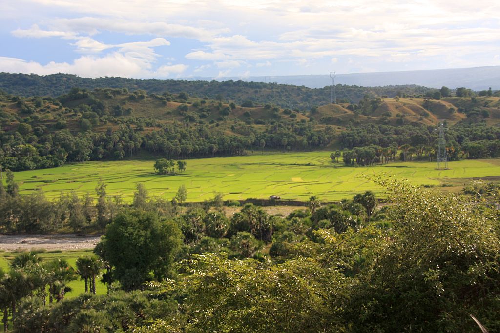 O Livro das Contradisoens: Dili - Baucau - Laga - Baucau