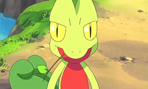 Pokémon:Ruby and Sapphire Chronicles: 2015