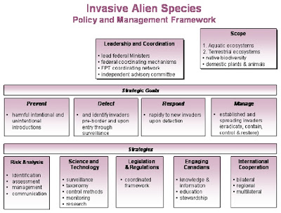 Conservation Biology: How is Newfoundland Doing??: Management and Law ...