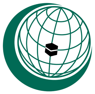 Rohingya Blogger: OIC To Hold Special Meeting On Myanmar Developments