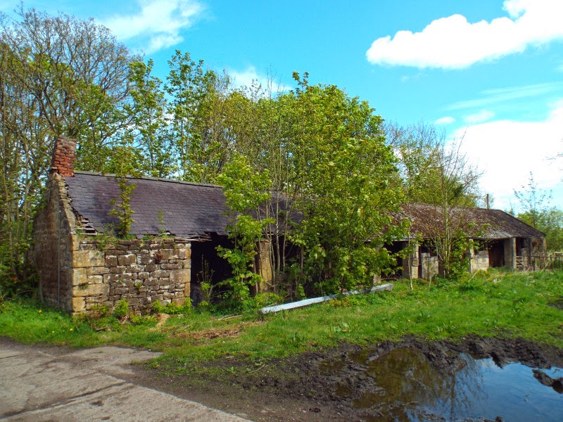 Photographs Of Newcastle: Woolsington Hall