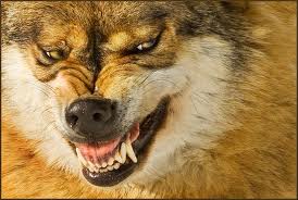 SwordWord: Weeping and Gnashing of Teeth