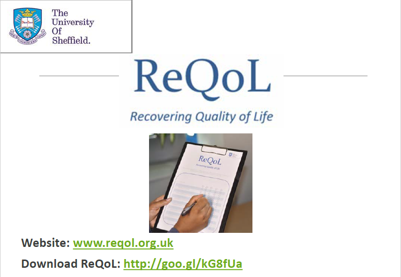 ReQoL: DOWNLOAD ReQoL RESOURCES
