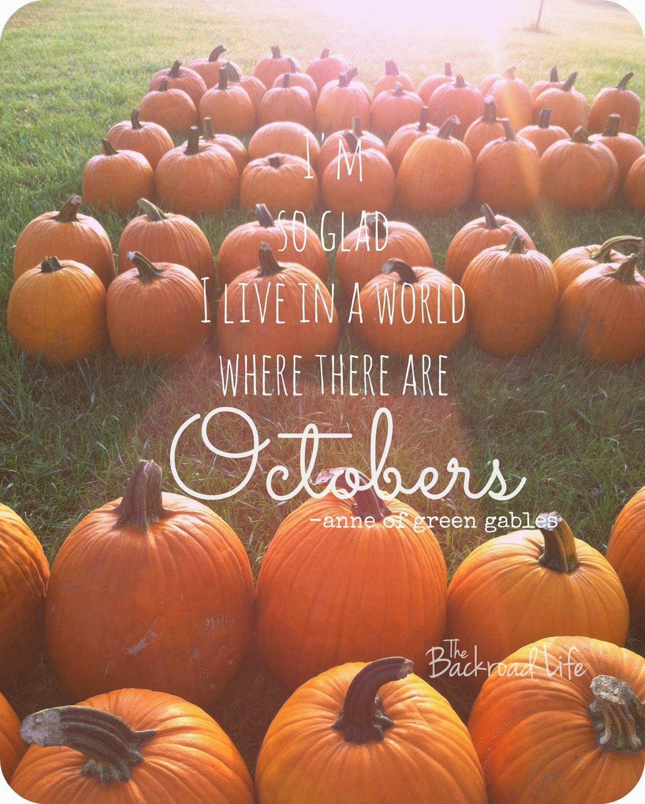 The Backroad Life: Beauty in October Color