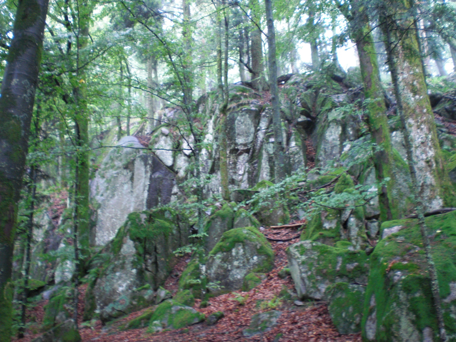 GRIMP-AVENTURE: traversée de l'arete des SPITZKOPF