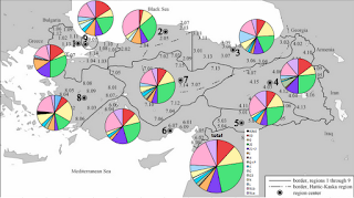 Turkish yDNA haplogroups based on regions