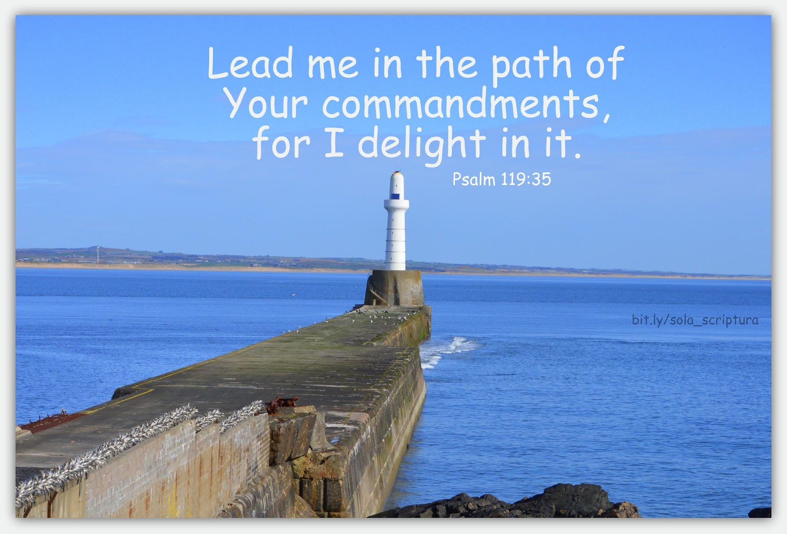 Sola Scriptura: 2016