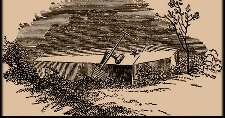 LA RAMA DE ACACIA Y OTRAS PLANTAS SAGRADAS INICIATICAS ~ MASONERIA DEL ...