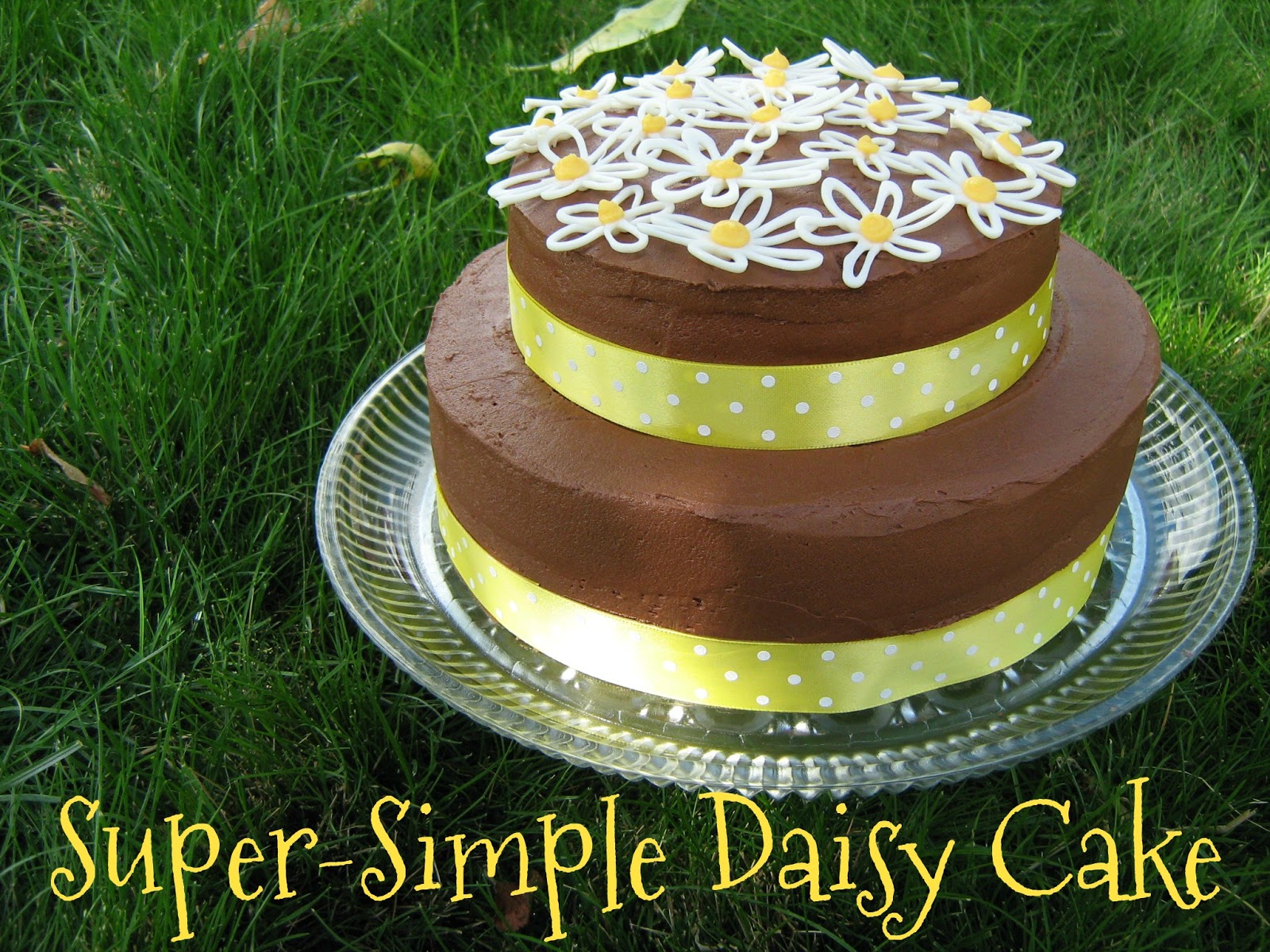 Super-Simple Daisy Cake