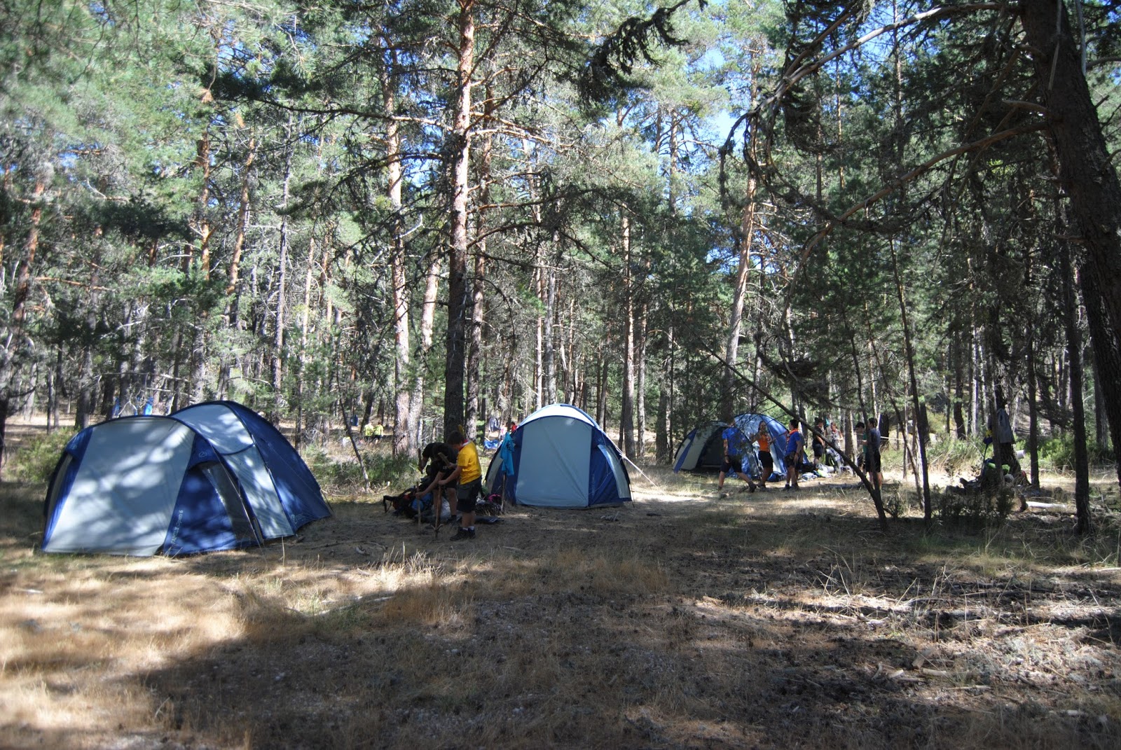 TALVEILA 2013: Asi es el campa!!!
