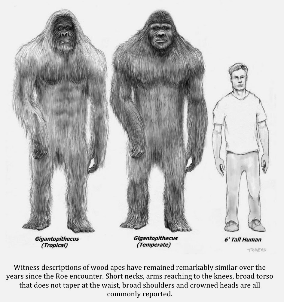 Texas Cryptid Hunter: Sasquatch Classics: The William Roe Encounter