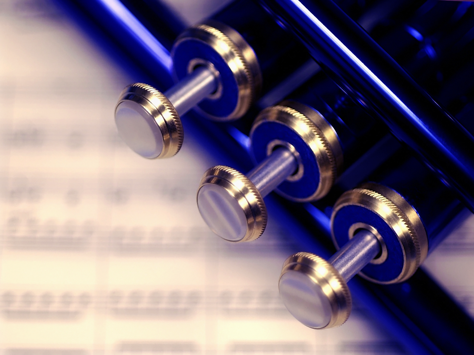 Blue Trumpet wallpaper – Republicans Find New Definitions To Hide ...