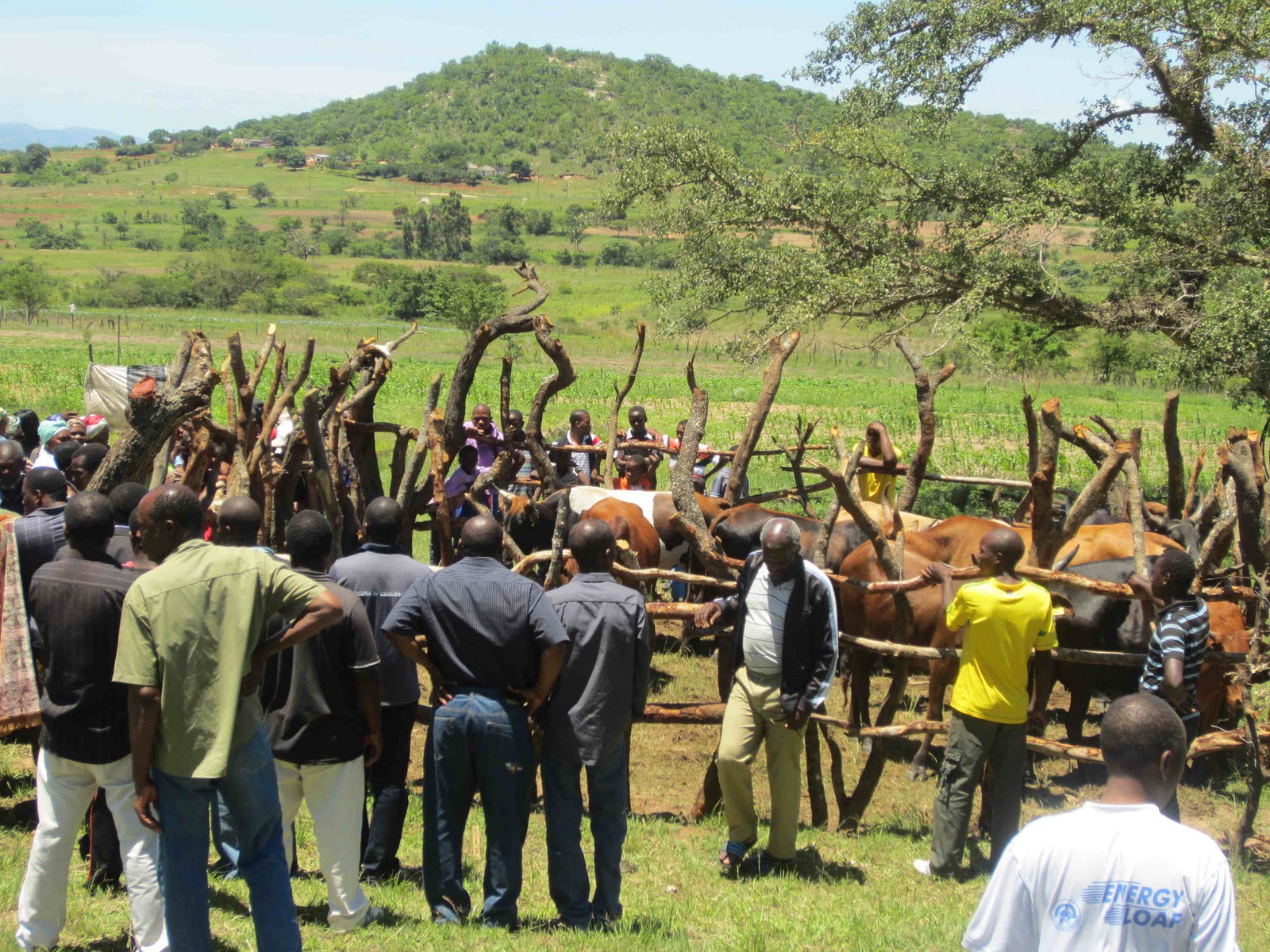 Emma's Adventures in Swaziland: More pictures - mostly from Lobola (the ...