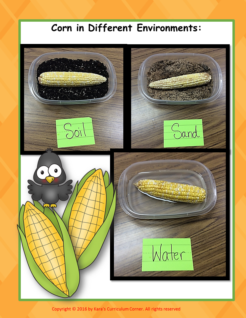 Create Your Balance With Literacy