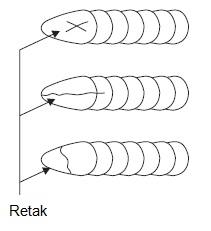 Teknologi Manufaktur: Retak (Crack) pada Las