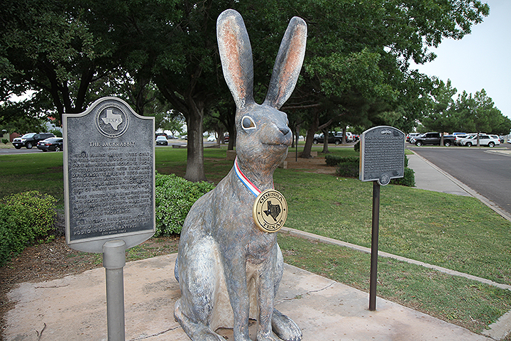 Texas Pop Culture: A Hare Taller