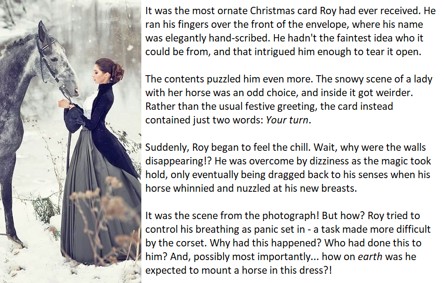 Emily's TG Captions: Snowy Scene