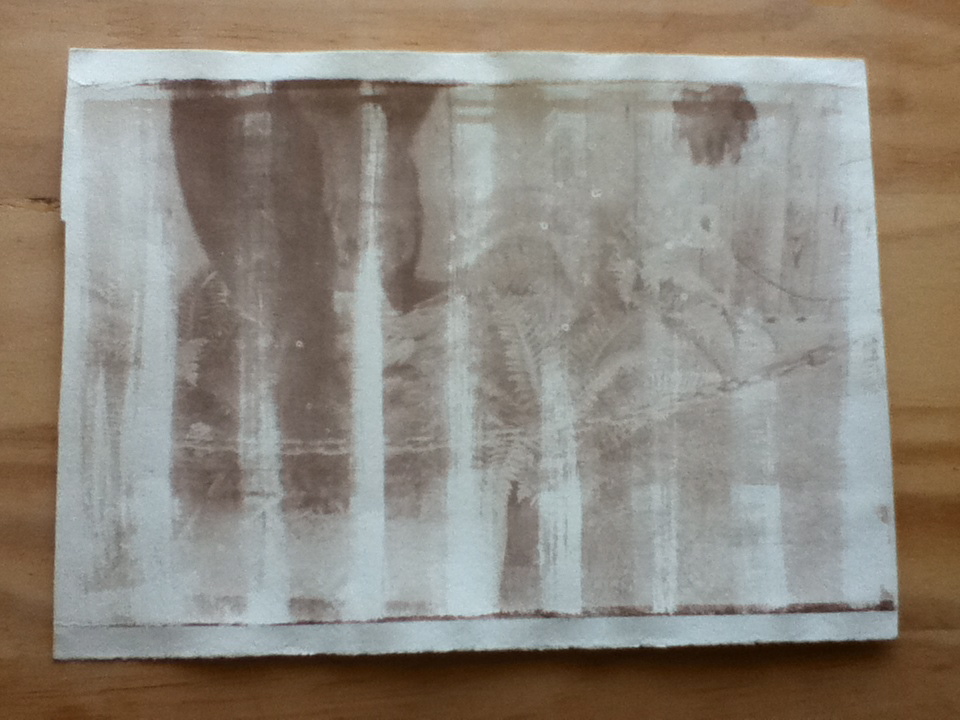 19th Century Photographic Processes: Albumen