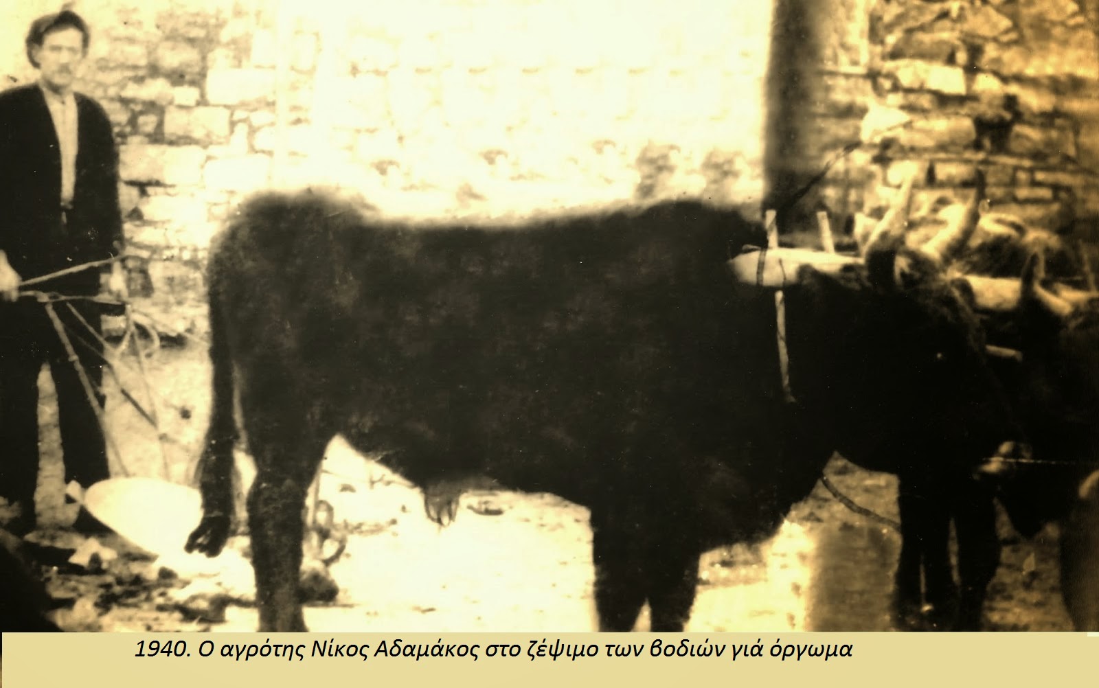 ΛΑΟΓΡΑΦΙΚΟΣ - ΙΣΤΟΡΙΚΟΣ ΣΥΛΛΟΓΟΣ " Η ΣΟΥΒΑΛΑ ΠΑΡΝΑΣΣΟΥ ": ΤΟ ΟΡΓΩΜΑ