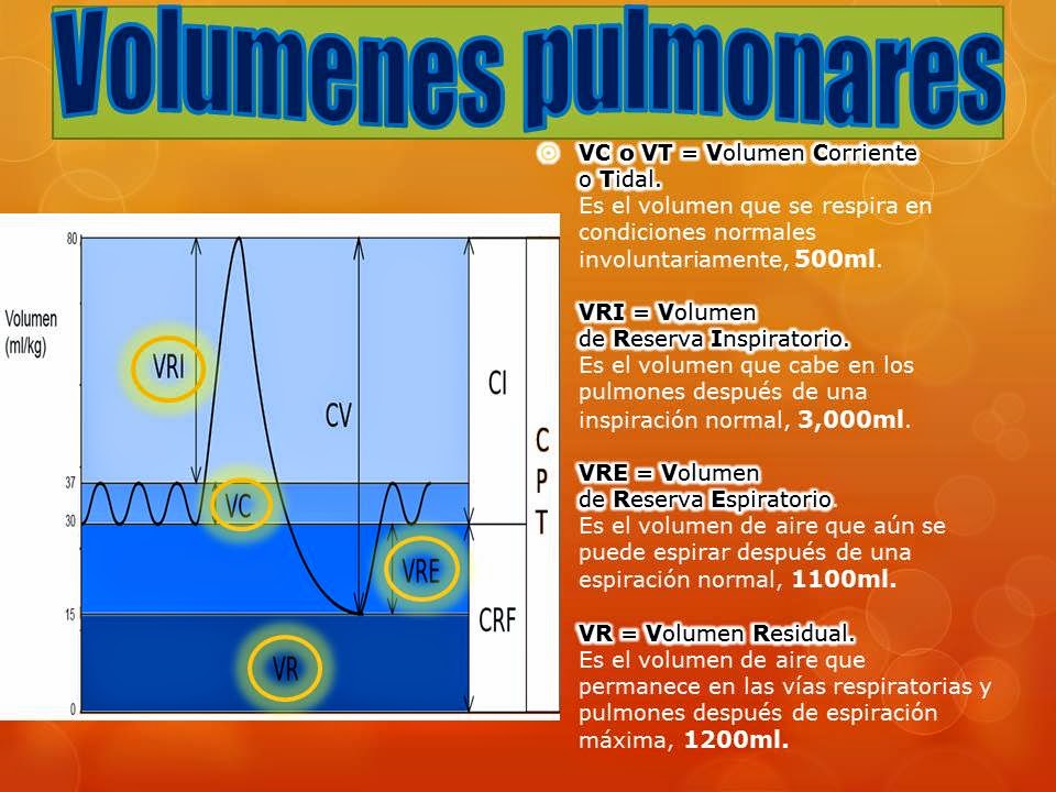 Blog de Fisiología Básica de Osel Alonso García Angulo: abril 2014