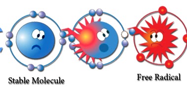 World of Biochemistry (blog about biochemistry): Cartoon about free ...