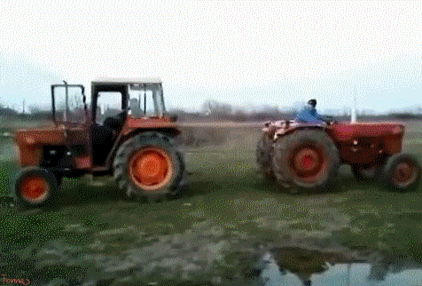 Tonnies - Selfmade Animations Photofun Yachting and many more ...