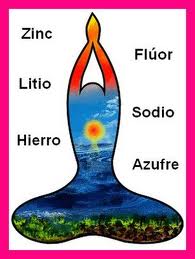 Almacén del Ser: Principales Oligoelementos y sus Propiedades
