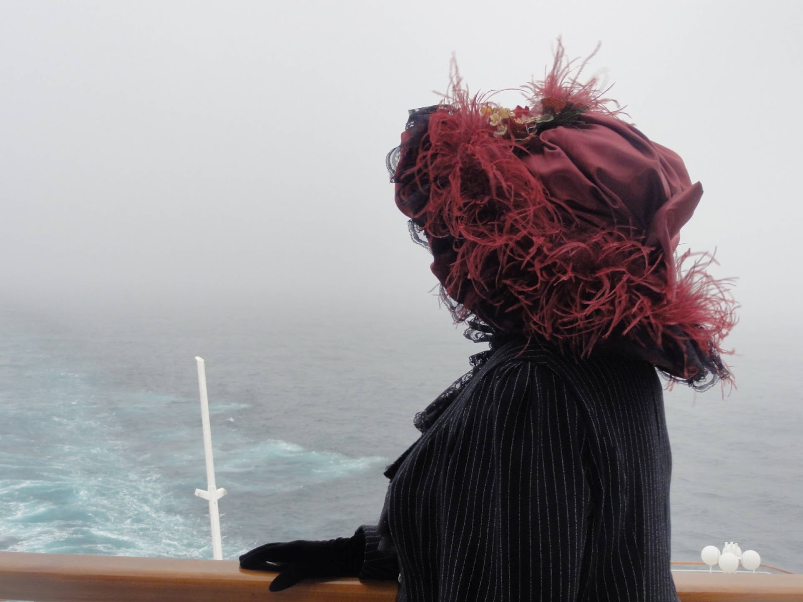 Chasing Molly-My TMC Journey: Smooth Sailing Ahead the chase continues