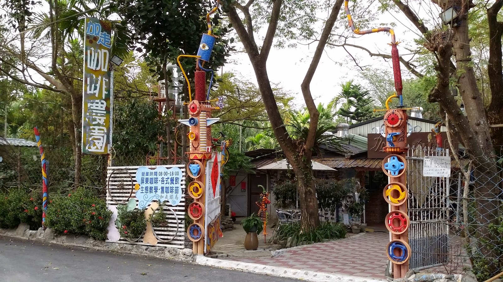 cate lee- dream come true