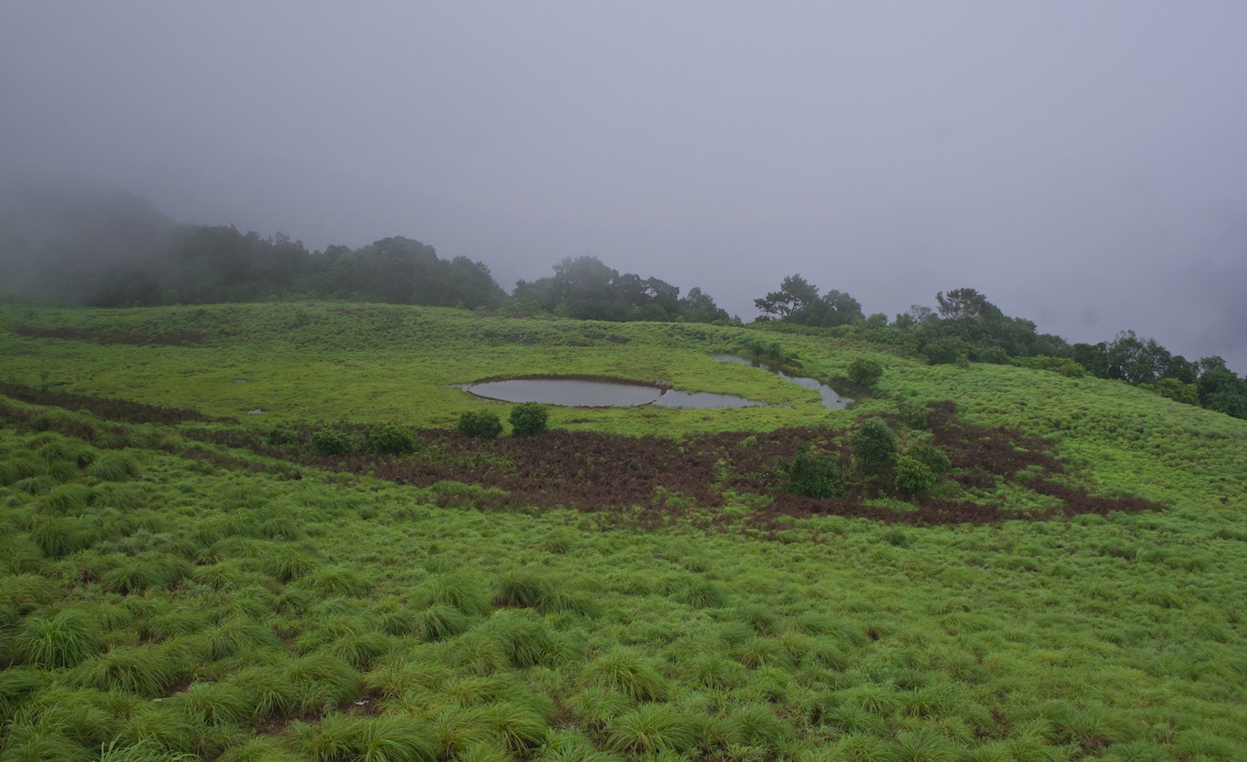 Discrete: Paithalmala: Season