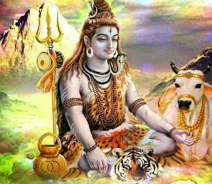 ARUNACHALA GRACE: Deepam Festival Panthakal