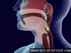 El Rincón del Pequeprofe