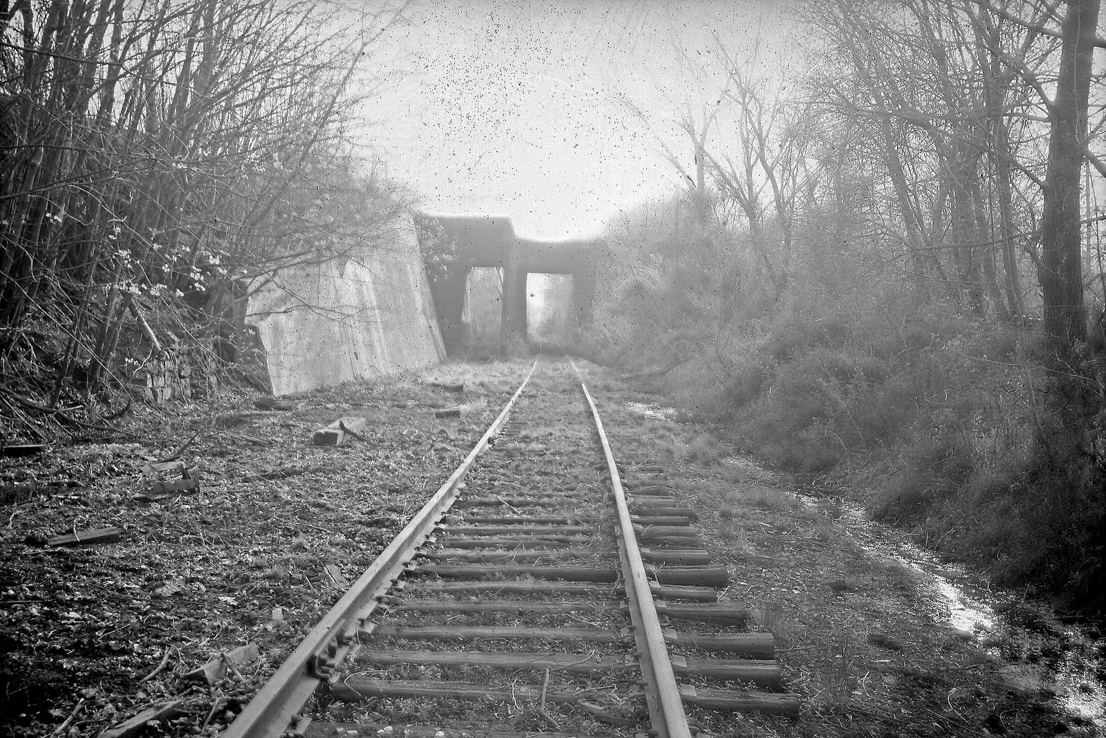 Gillette On Hillsborough: Take a Ride on The South Branch Railroad ...