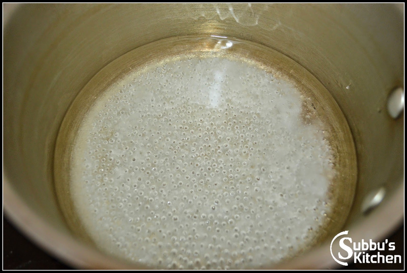 Homemade Paneer Soda - Subbus Kitchen