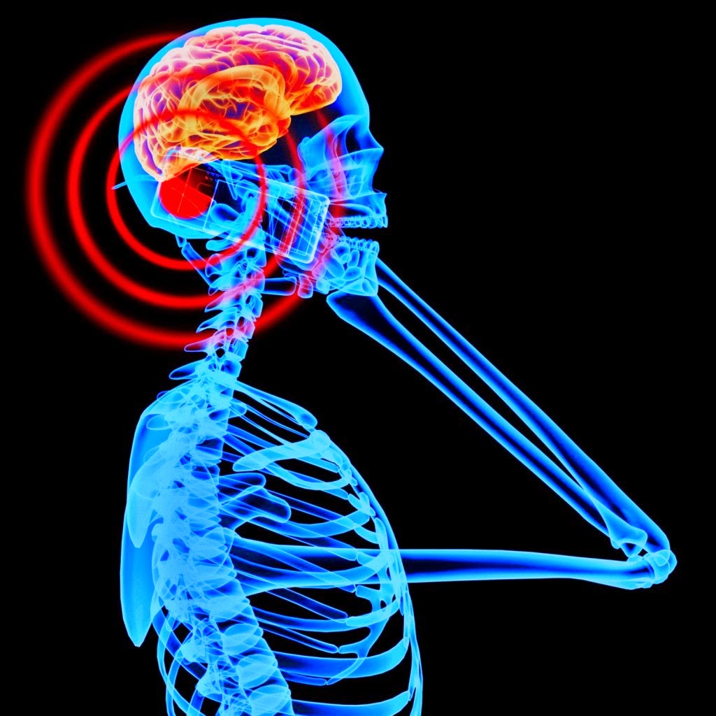 The WHOLE PICKture Less EMFs Should Be Your New Year s Resolution The WHOLE PICKture Less EMFs Should Be Your New Year s Resolution