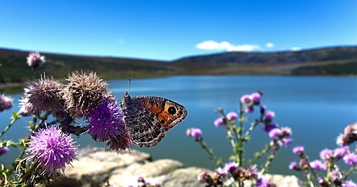 Curiosidades que quizás desconocías de la provincia Pataz » Pataz.es ...