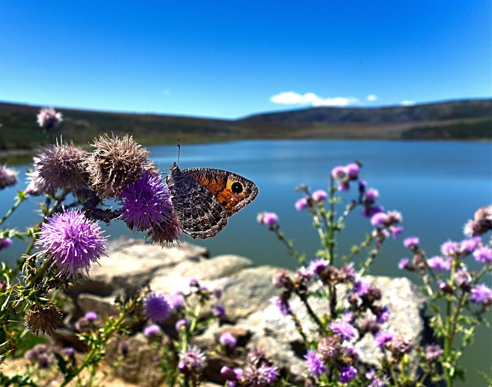 Curiosidades que quizás desconocías de la provincia Pataz » Pataz.es ...