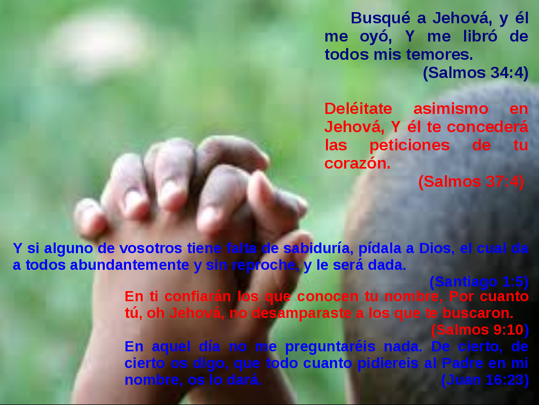 Dios da Palabra: Y me libró de todos mis temores