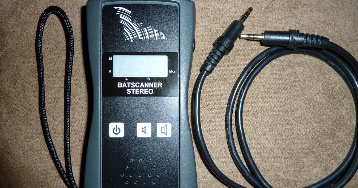 Bat Detector Reviews: Review: Brand-New Stereo Batscanner From Elekon ...