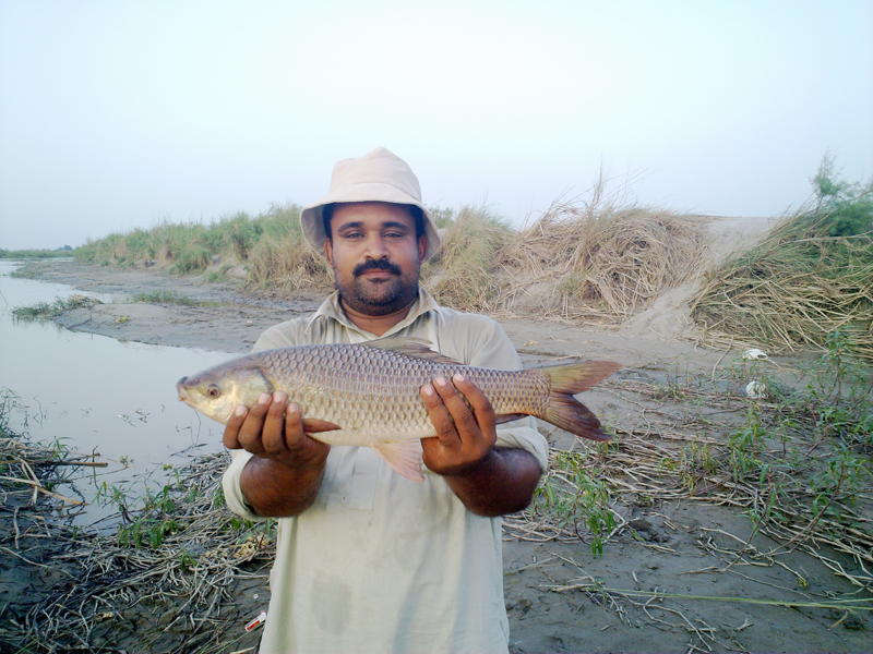 Fishing In Pakistan: Fishing in Pakistan (Near D G Khan) 2010