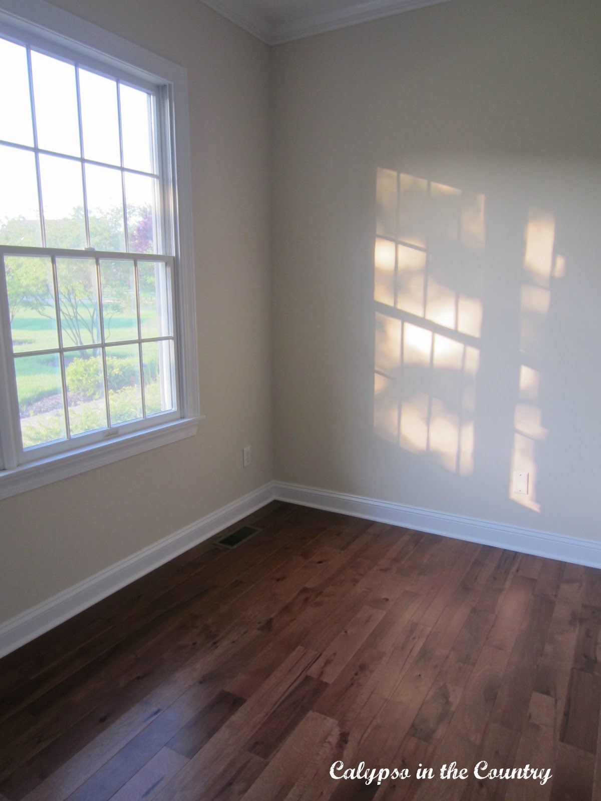 Office Progress - Walls and Floors - Calypso in the Country