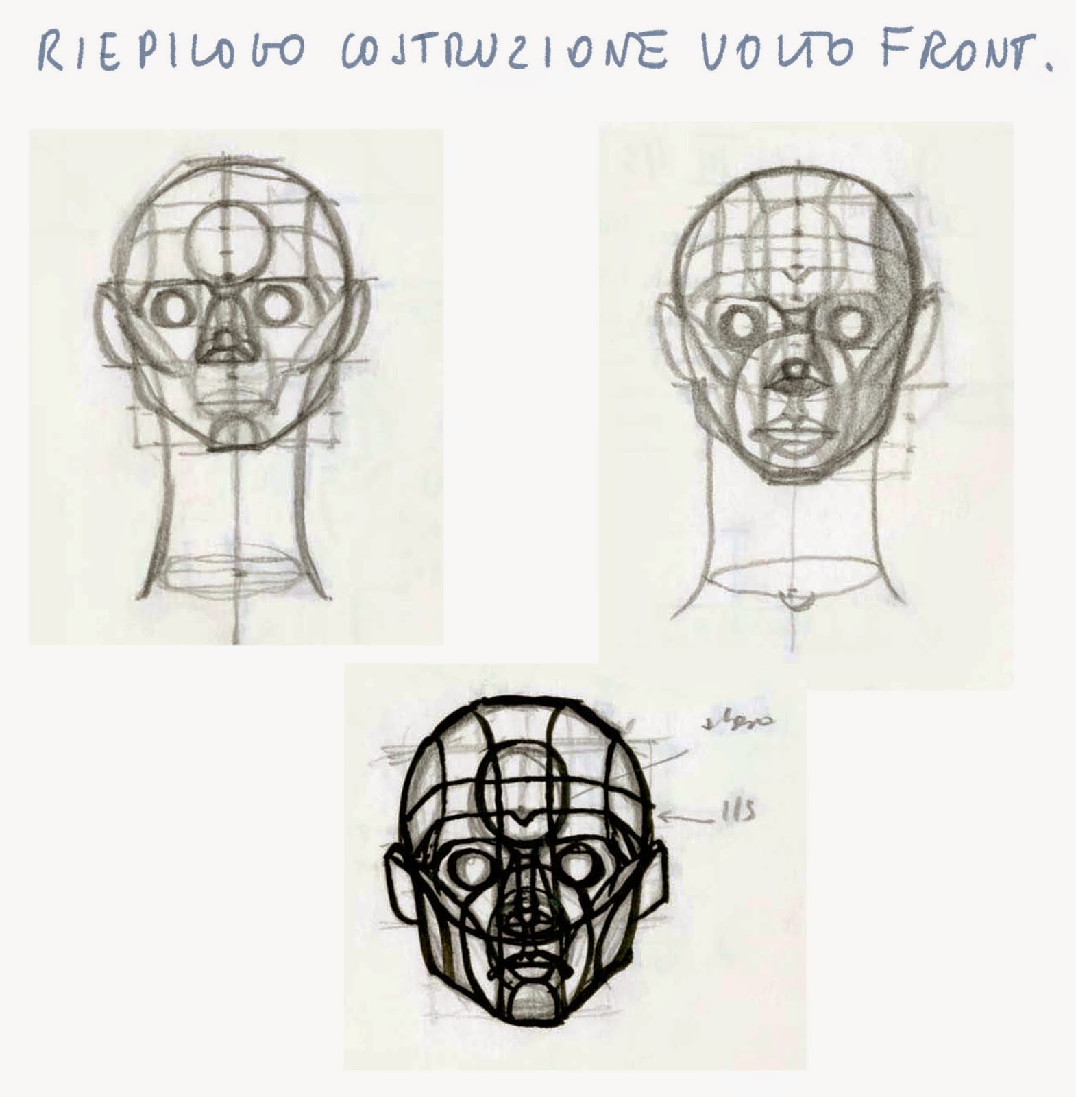 canevassa: RIEPILOGO SULLA COSTRUZIONE DEL VOLTO - VISIONE FRONTALE