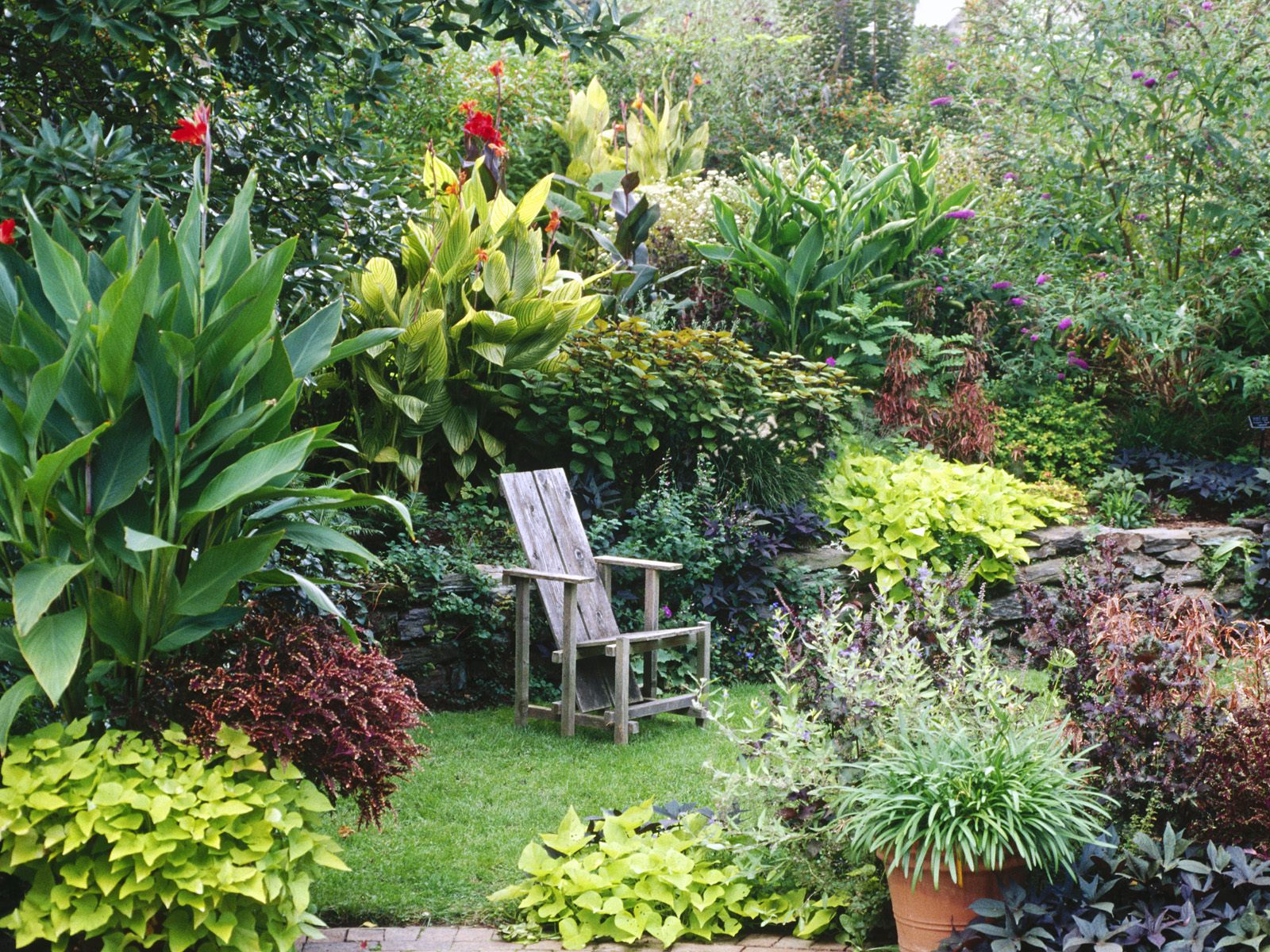 VIDA VERDE MINI-HORTAS E JARDINS: Fotos