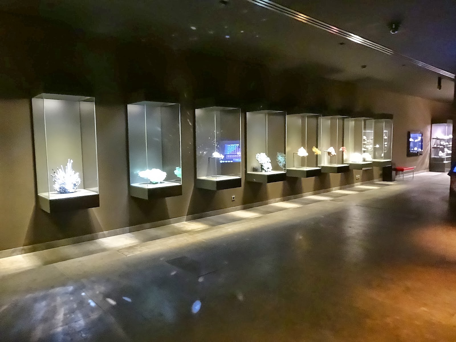 Natural History Museum of L.A. Minblog: Opening of the MIM museum in ...